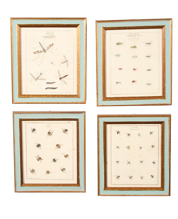 Bonhams : A set of twelve 18th century engravings of insects by Moses ...