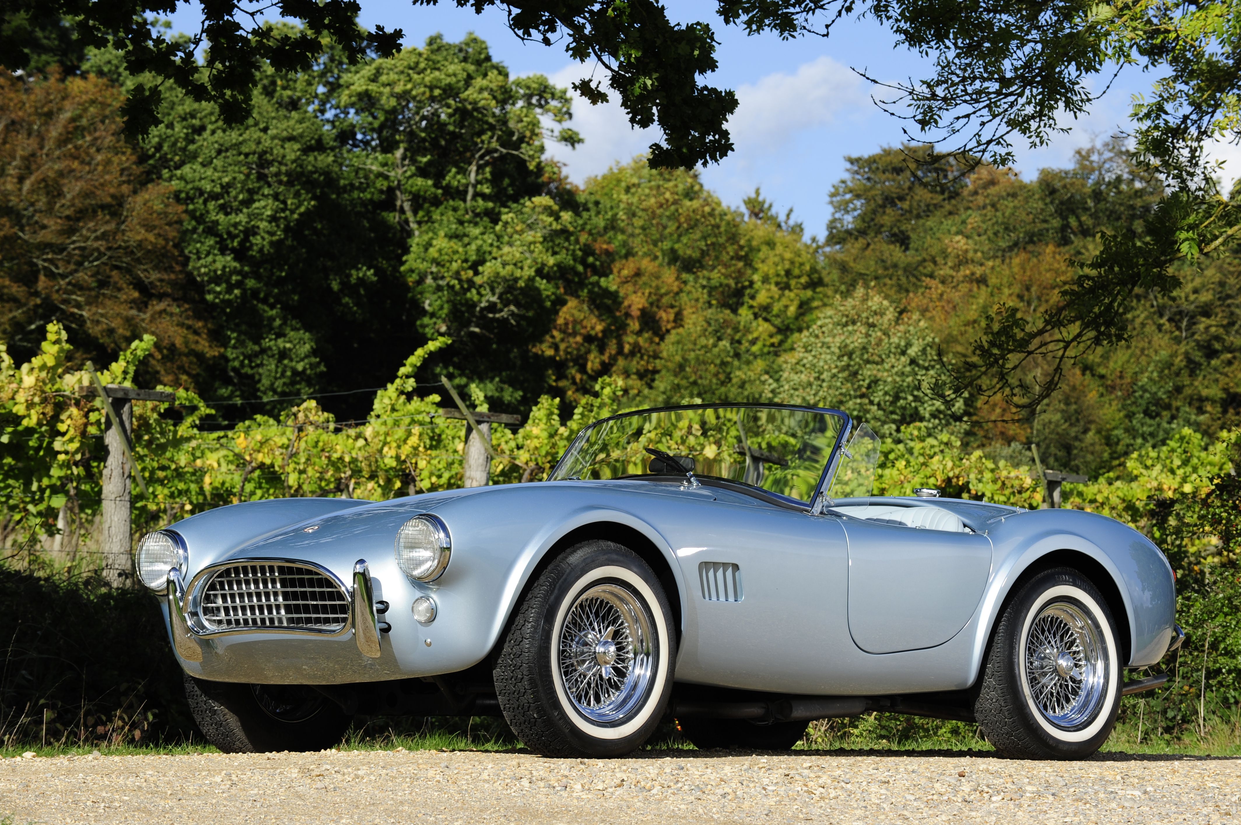Bonhams Cars : 1964 AC Cobra 'Mark II' Roadster Chassis no. COB6034
