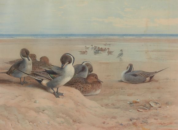 Bonhams : After Archibald Thorburn Four coloured prints of wading birds ...