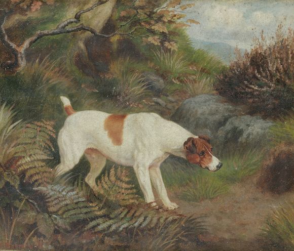 Bonhams : Amos Watmough (British, late 19th century) Fox Terrier 10 x ...