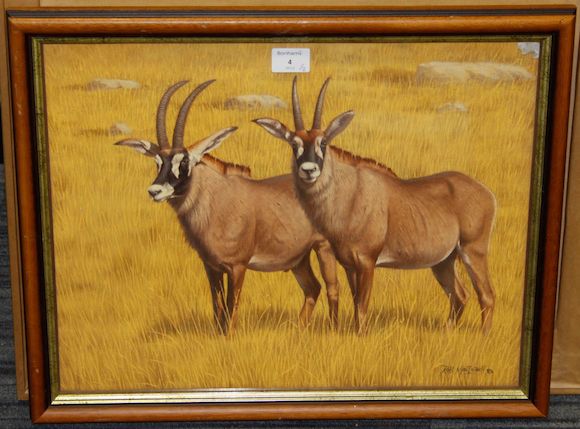 Bonhams : Robert MacIntosh Gemsbok; Roan Antelope