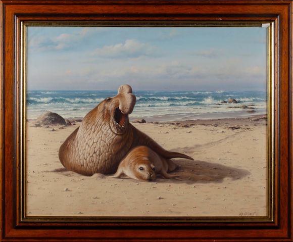 Bonhams : Robert MacIntosh Elephant seal bull and cow