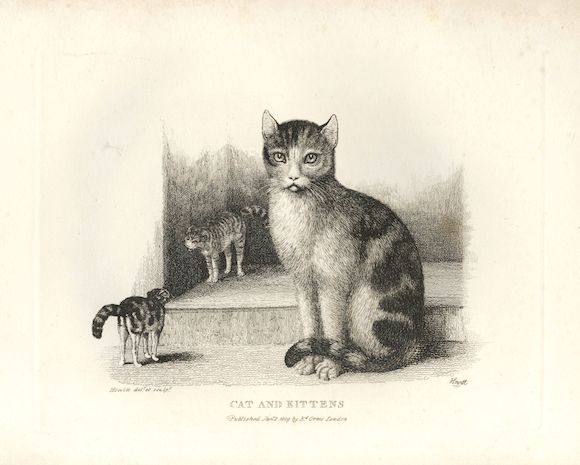 Bonhams : HOWITT (SAMUEL) Groups of Animals... Drawn from the Life