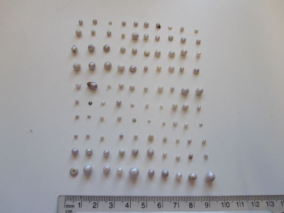 Bonhams : A collection of loose Scottish pearls (100)