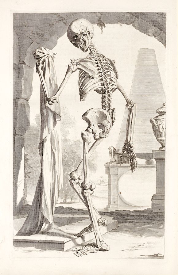 Bonhams : COWPER (WILLIAM) The Anatomy of Humane Bodies, with Figures ...