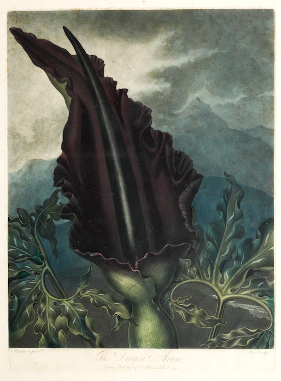 Bonhams : Robert John Thornton (British, 1768-1837), publisher The ...
