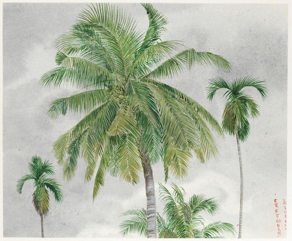 Bonhams : A study of palm trees probably Calcutta School, circa 1920