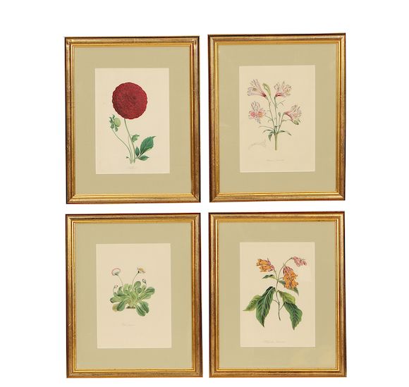 Bonhams : A set of twelve first half of the 19th century lithograph ...