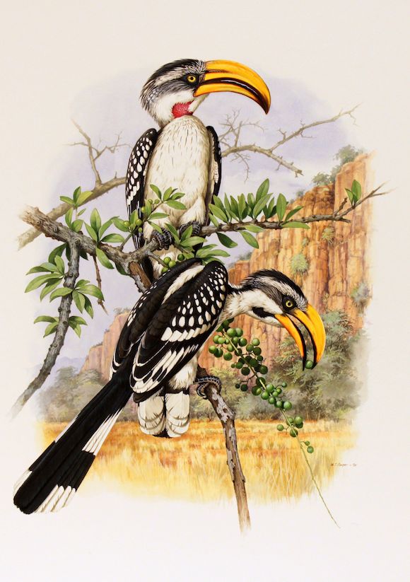 Bonhams : William T Cooper (Australian, born 1934) A collection of four ...