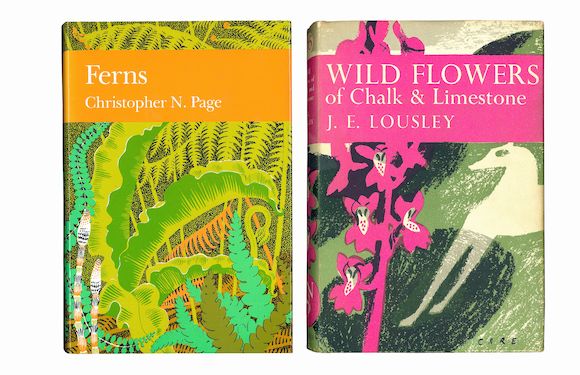 Bonhams : NEW NATURALIST PAGE (CHRISTOPHER NIGEL) Ferns, 1988--CORBET ...