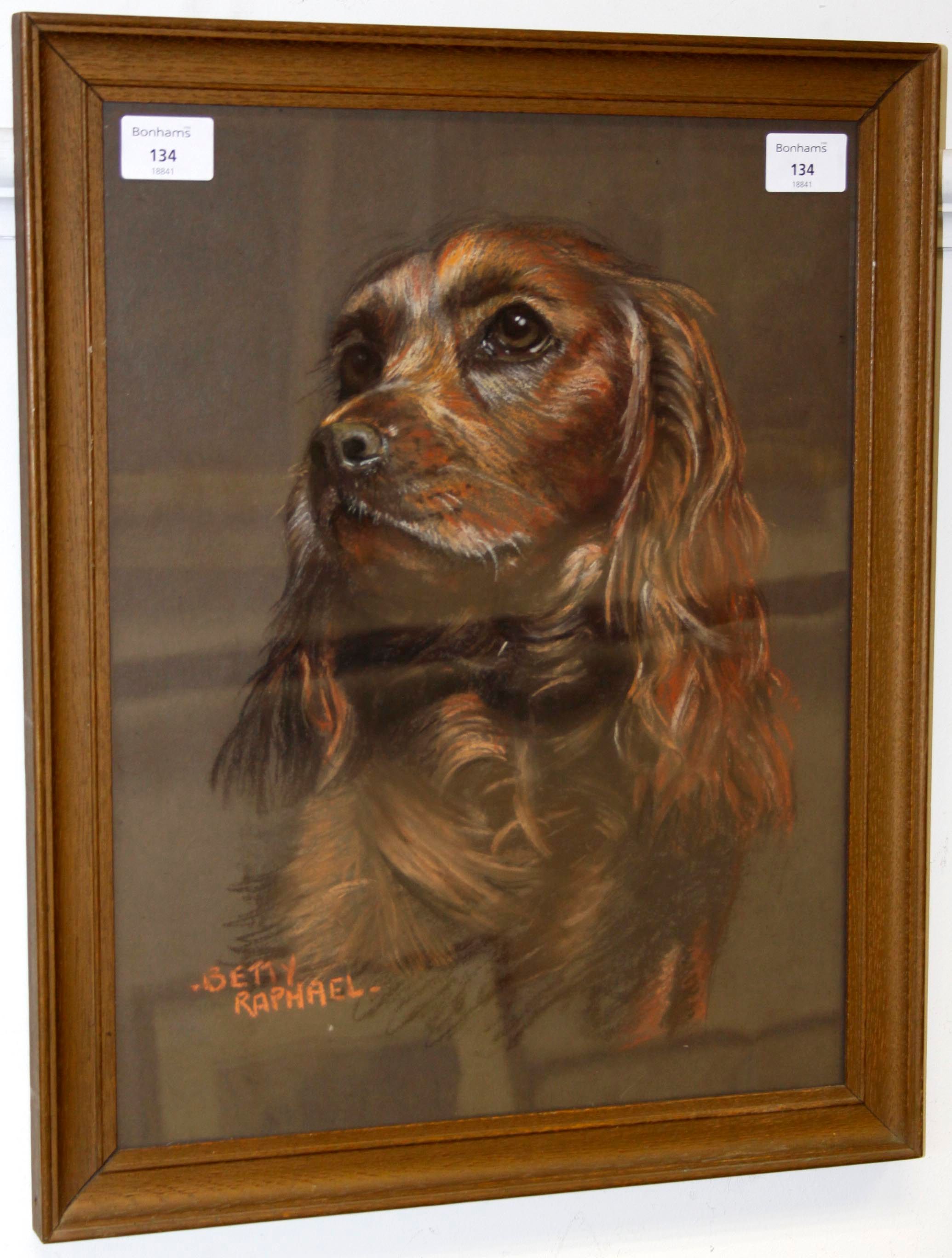 Bonhams : Betty Raphael (20th Century) Portrait of a cocker spaniel