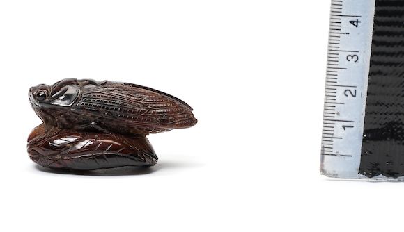Bonhams : A umimatsu netsuke of a cicada 18th century