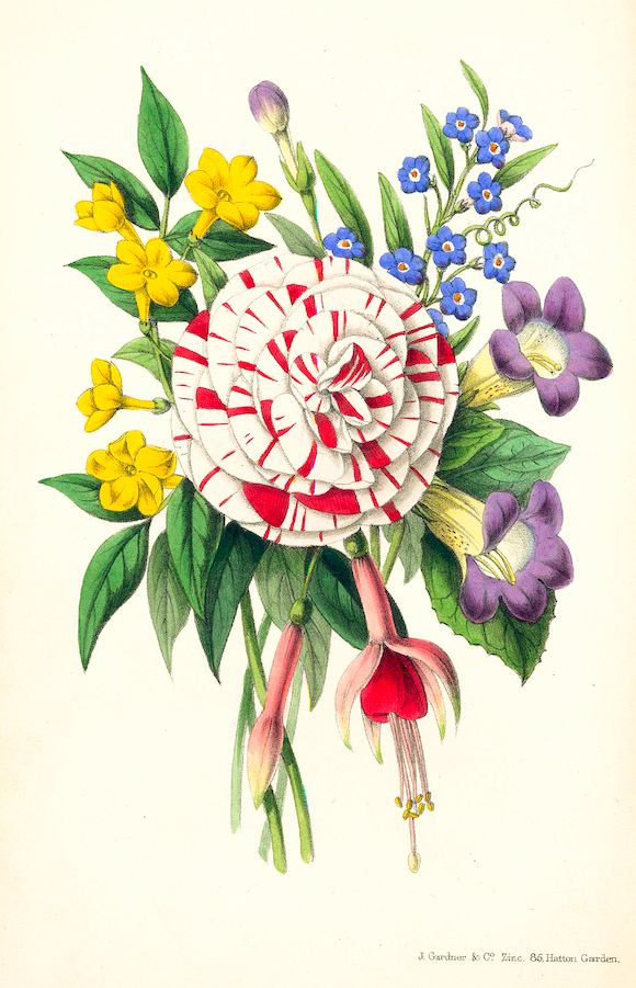 Bonhams : PEACHEY (EMMA) The Royal Guide to Wax Flower Modelling ...
