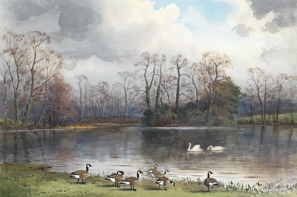 Bonhams : John Cyril Harrison (British, 1898-1985) Swans and Canada Geese on a lake