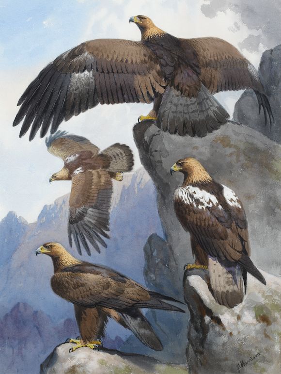 Bonhams : John Cyril Harrison (British, 1898-1985) Golden and Imperial ...