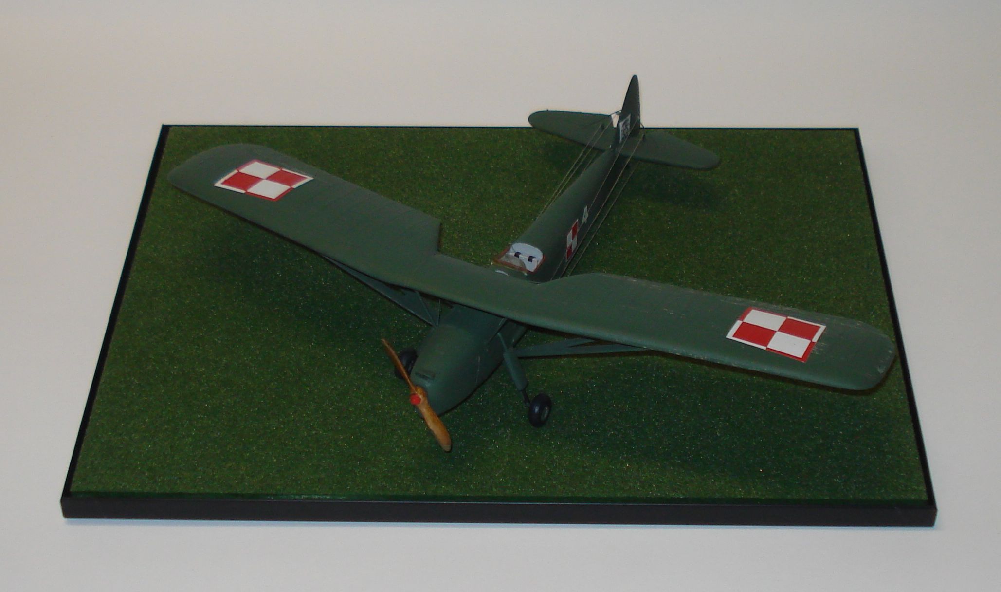 Bonhams Cars : A scratch-built 1:30 scale model of a RWD-8 PWS plane ...