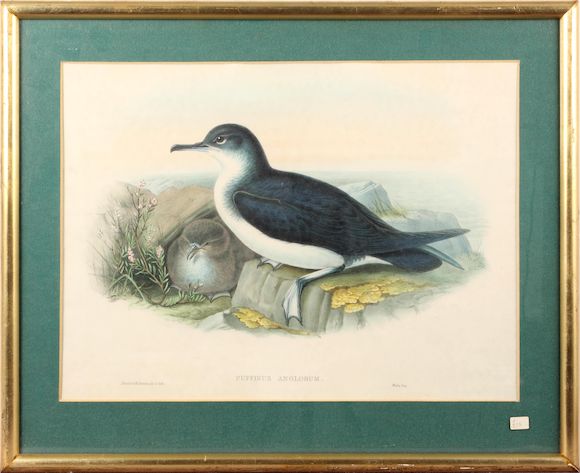 Bonhams : George Edwards (British, 1694-1773) Seven hand coloured ...