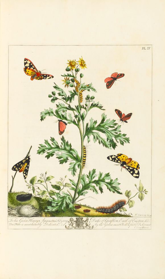 Bonhams : HARRIS (MOSES) The Aurelian or Natural History of English ...