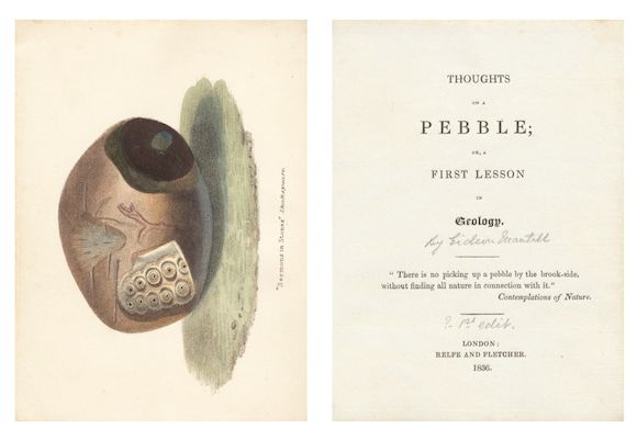 Bonhams : MANTELL (GIDEON) Thoughts on a Pebble or, a first Lesson in ...
