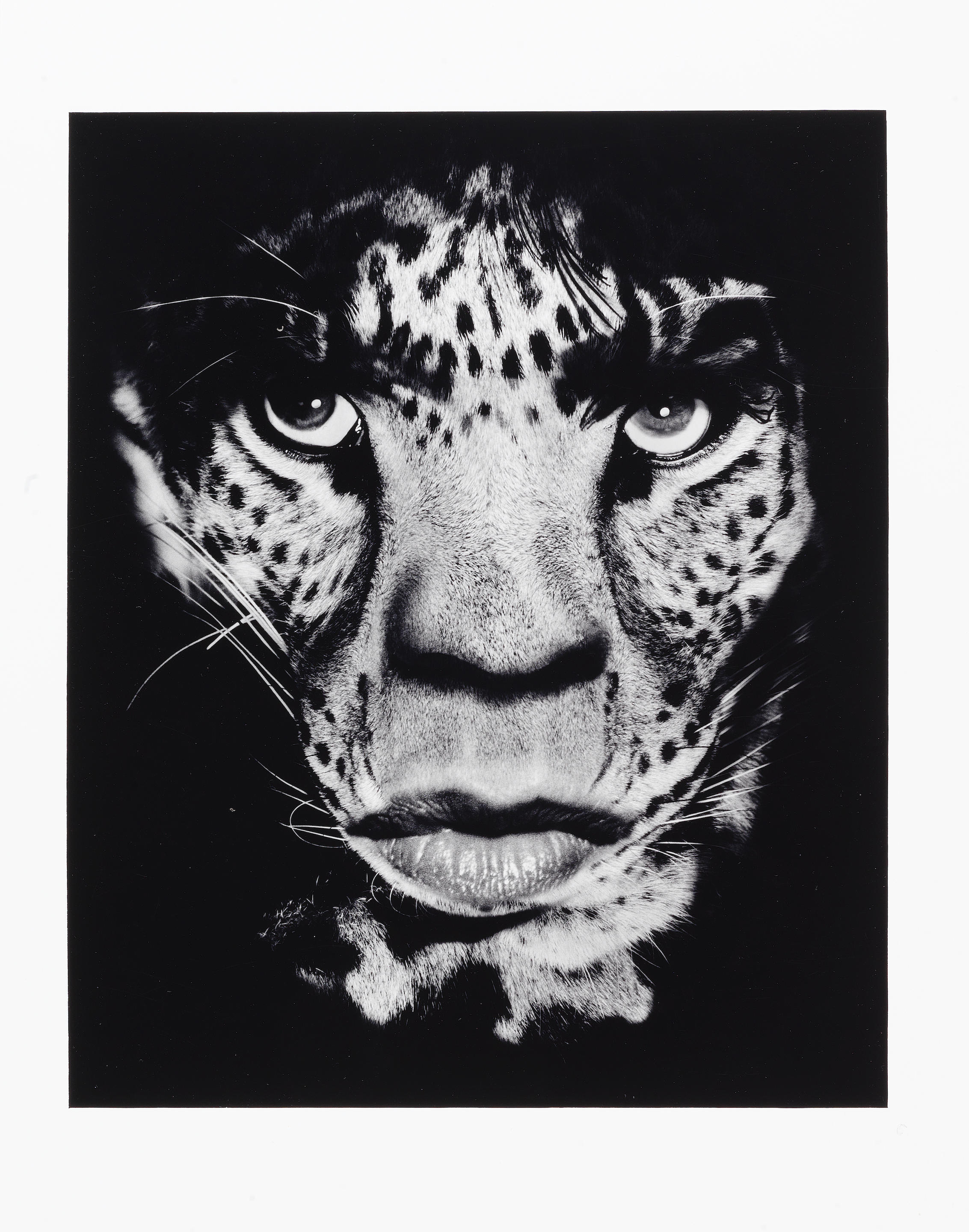 Bonhams : Albert Watson (Scottish, born 1942) Mick Jagger, 1992