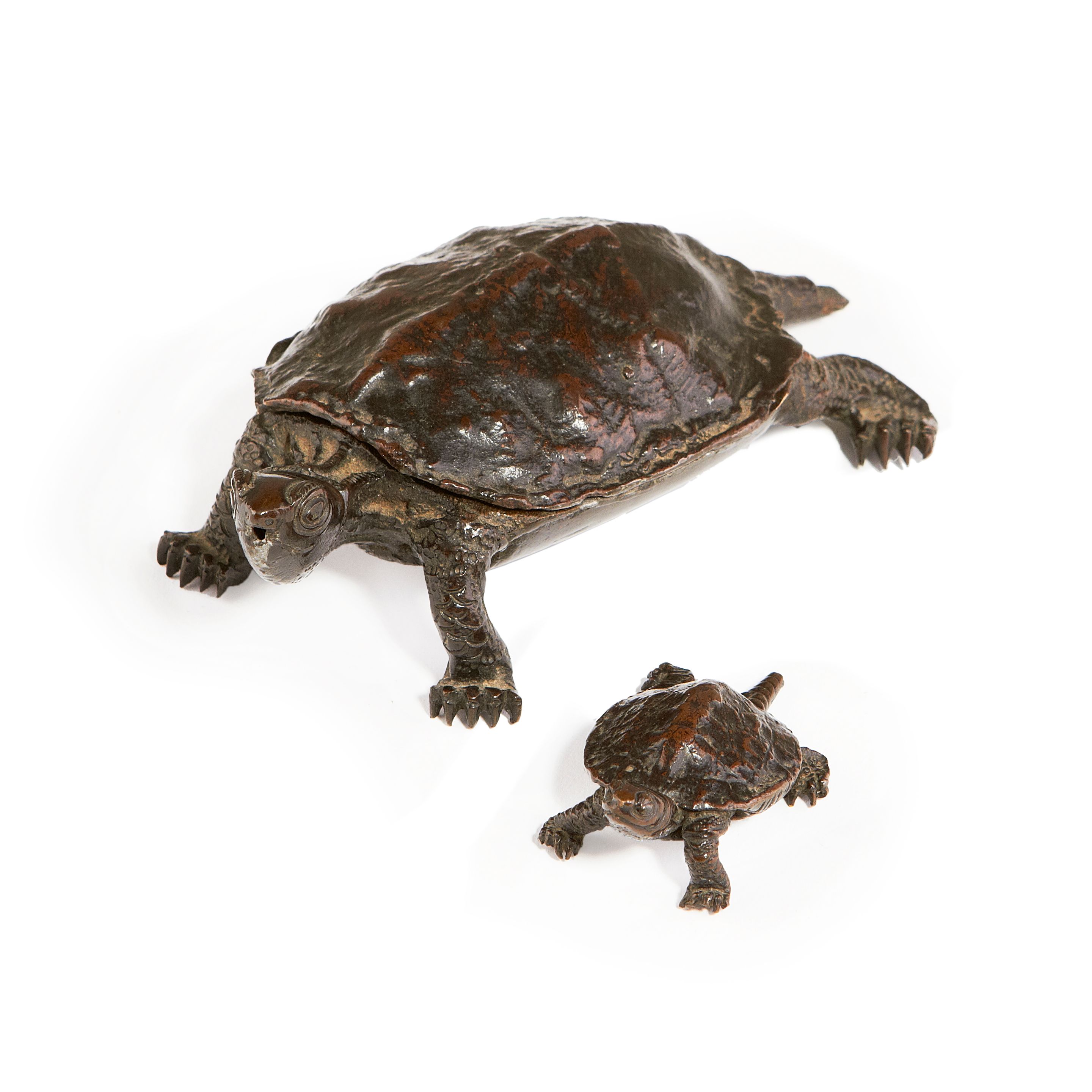 Two Paduan bronze models of tortoises - auctions & price archive