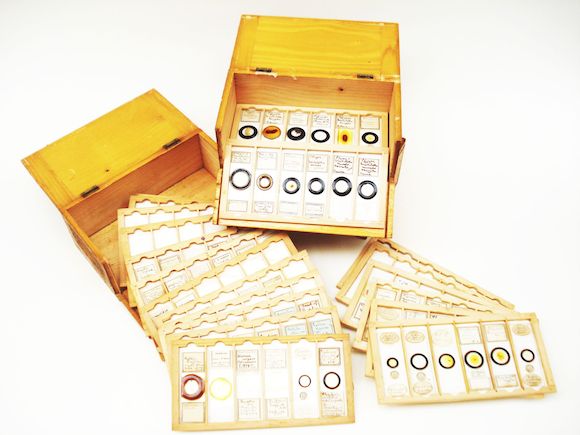 Bonhams : A large and comprehensive collection of microscope slides and ...