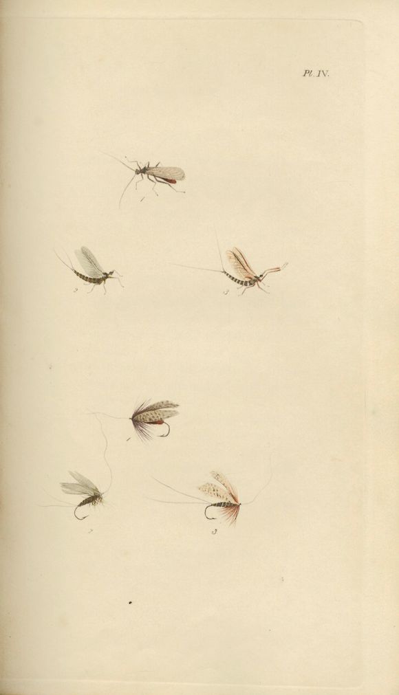 Bonhams : RONALDS (ALFRED) The Fly-Fisher's Entomology. Illustrated by Coloured Representations ...