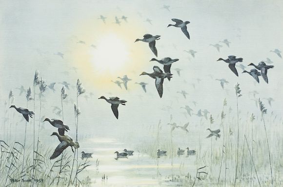 Bonhams : After Peter Markham Scott Ducks Alighting on a Pond