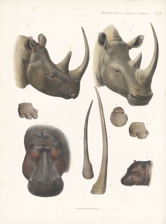 Bonhams : BRYDEN (HENRY ANDERSON) Great and Small Game of Africa ...