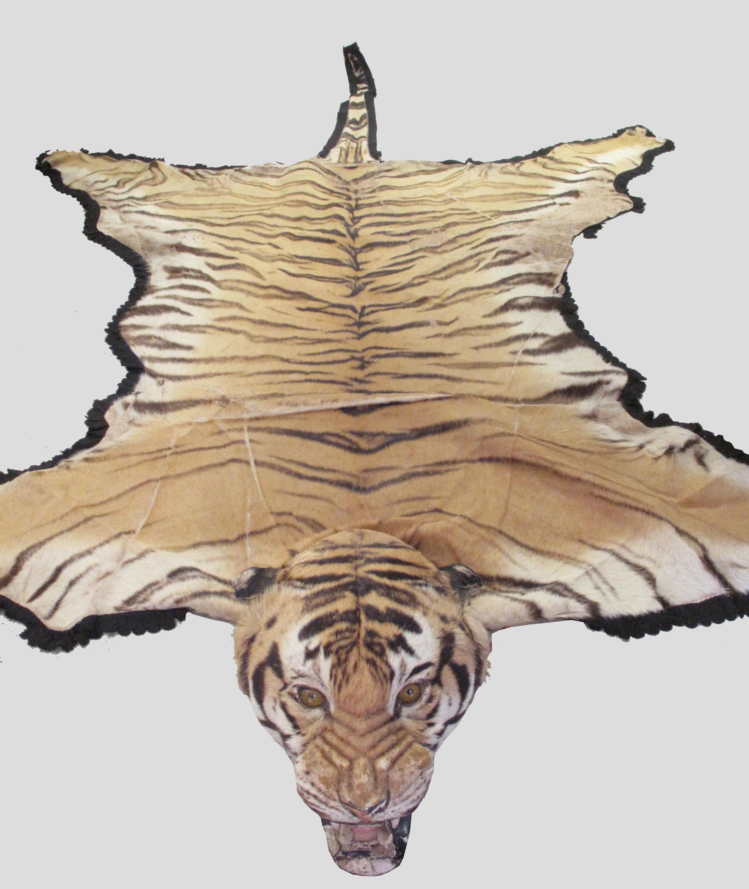 Bonhams : A large Bengal Tiger skin rug