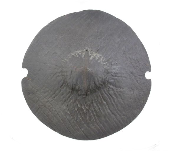 Bonhams : An Elephant hide shield