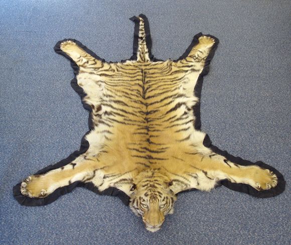 Bonhams : A fine tiger skinBy Van Ingen & Van Ingen, Mysore