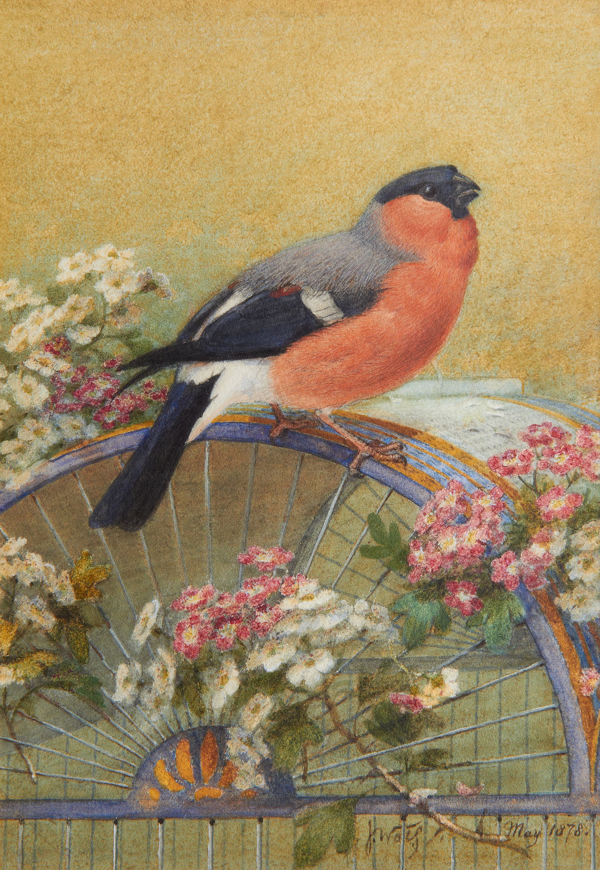 Bonhams : Josef Wolf (German, 1820-1899) The Queen's bullfinch