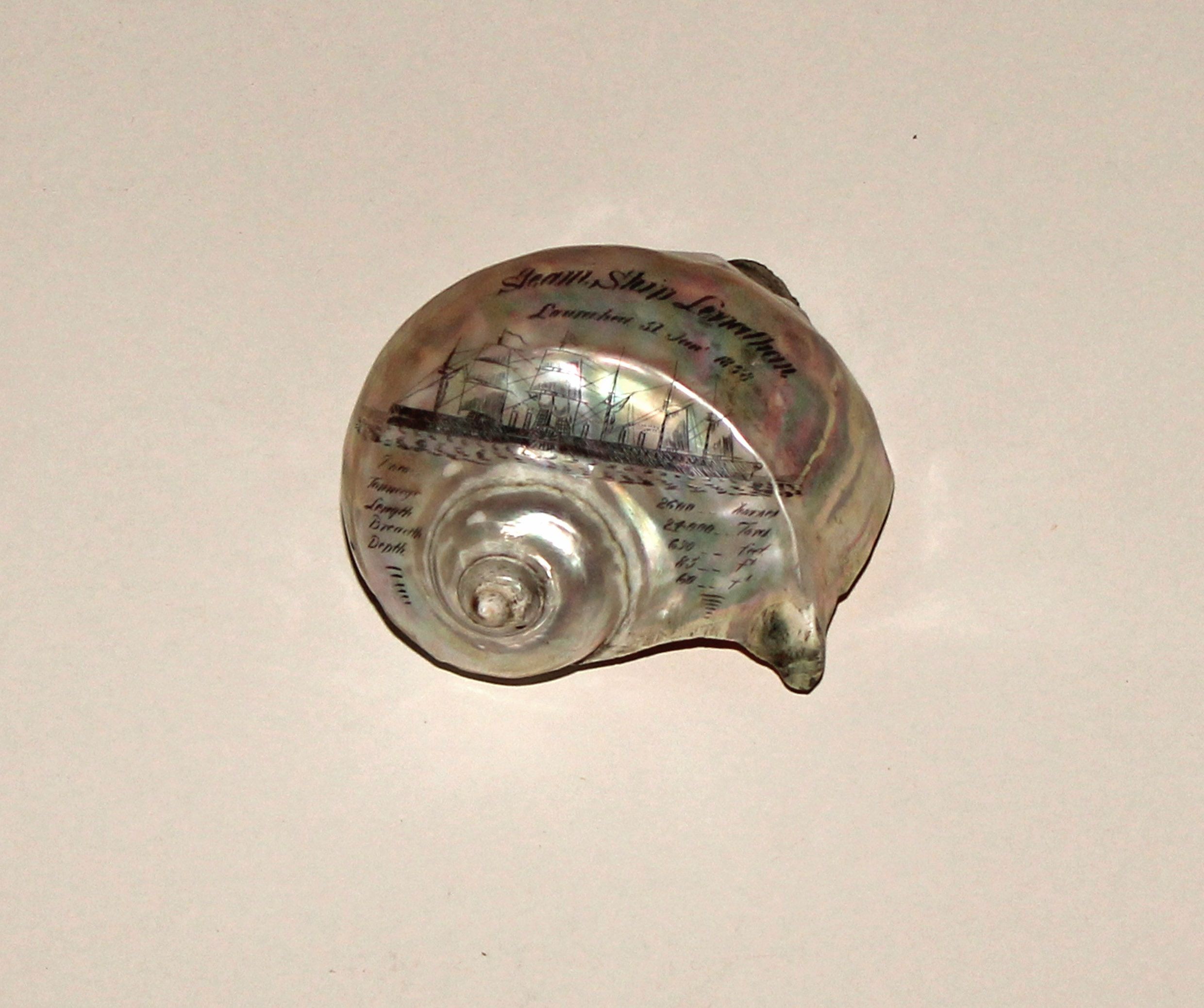 Bonhams : A pair of engraved Turban shells, commemorating the Great ...