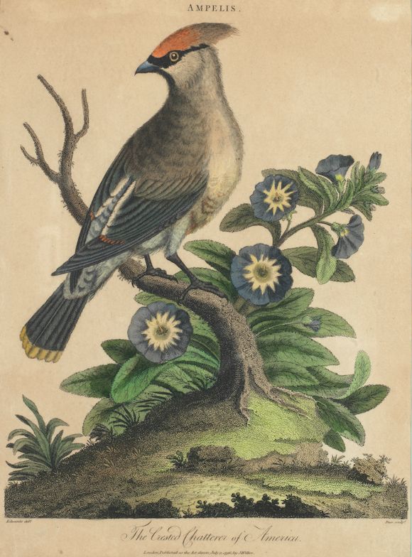 Bonhams : J. Pass (British, active 1793-1828) Twelve Engravings of ...