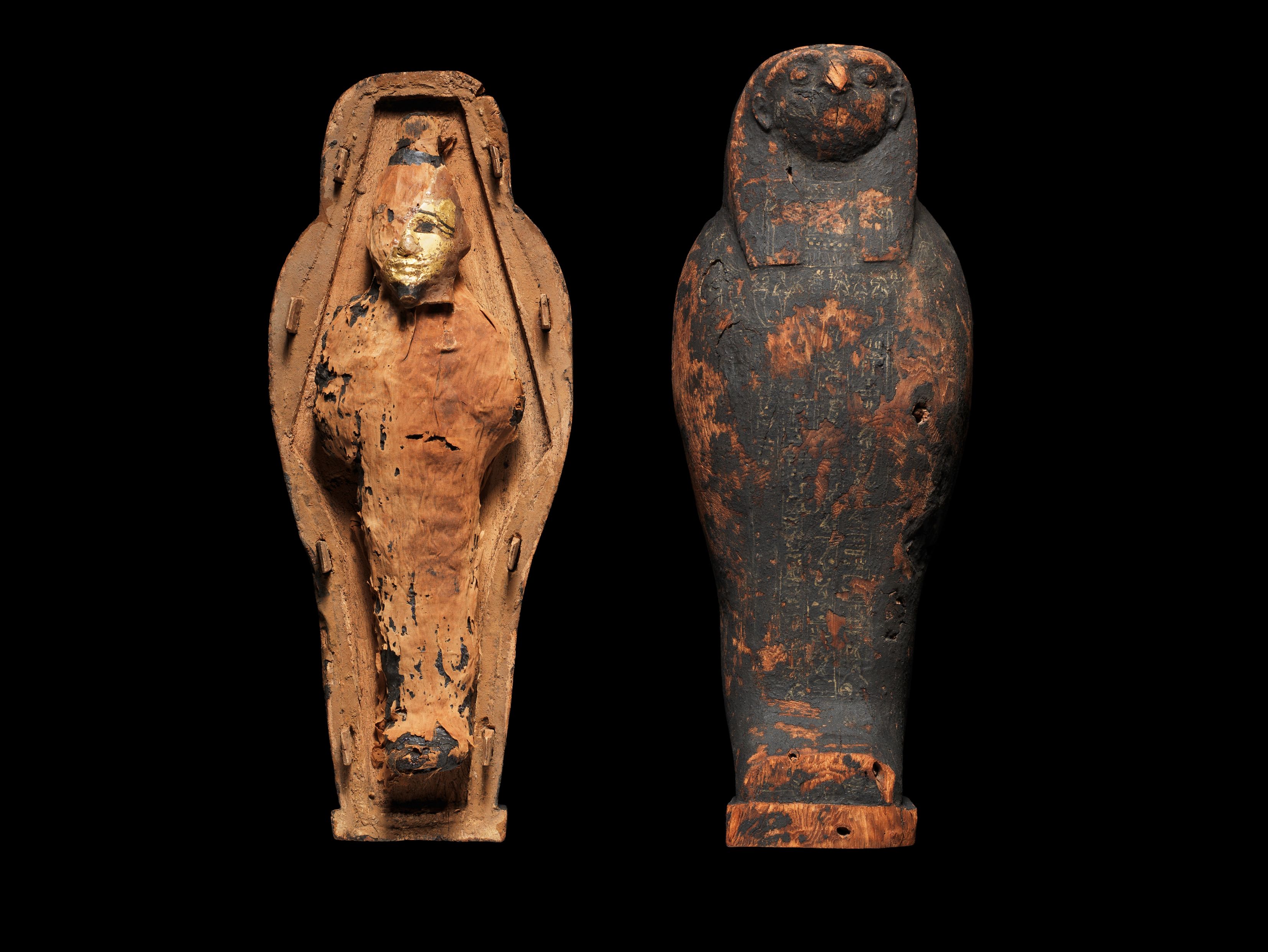 Bonhams : An Egyptian corn mummy and wood sarcophagus