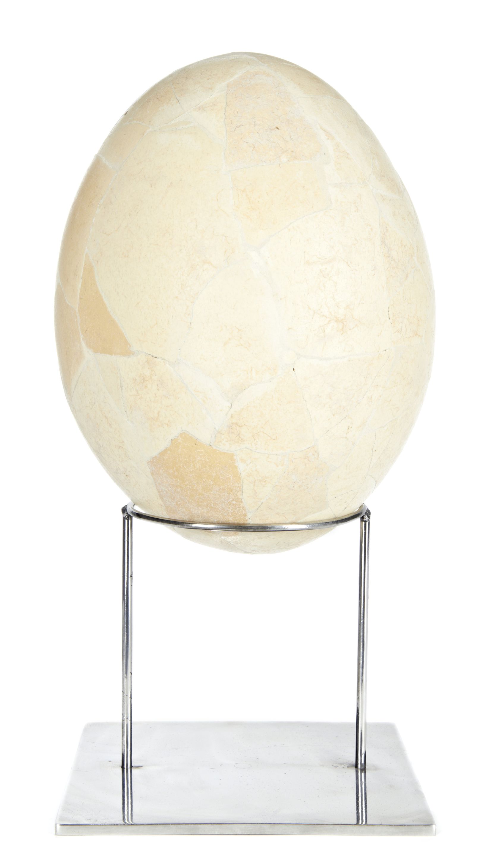 Bonhams : A reconstructed Elephant Bird Egg (Aepyornis maximus)