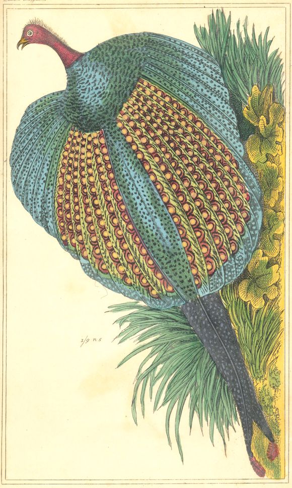 Bonhams : CUVIER (GEORGE L.C., Baron) The Animal Kingdom, Arranged ...