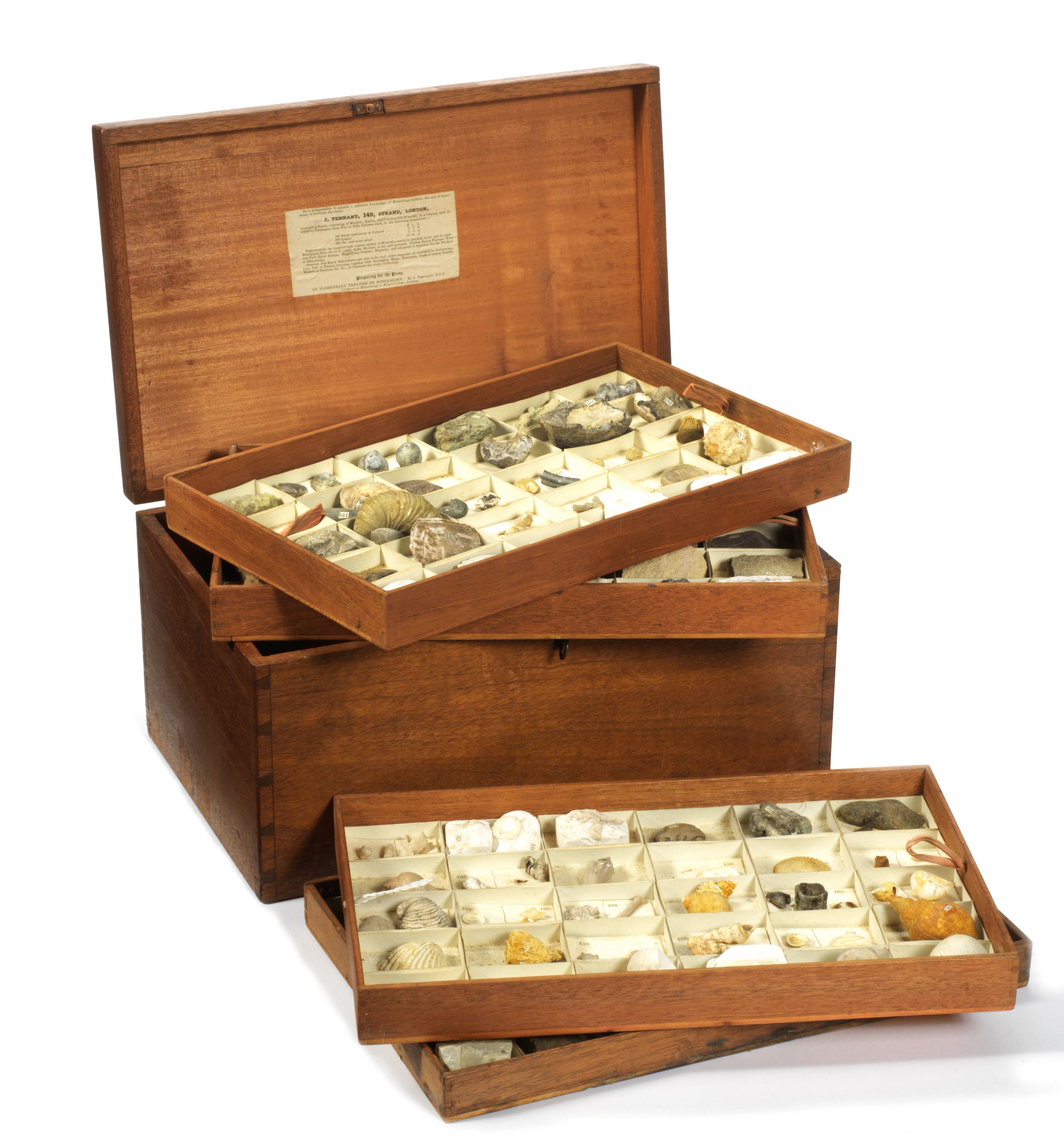 Bonhams : A James Tennant mahogany cabinet of minerals, rocks and ...