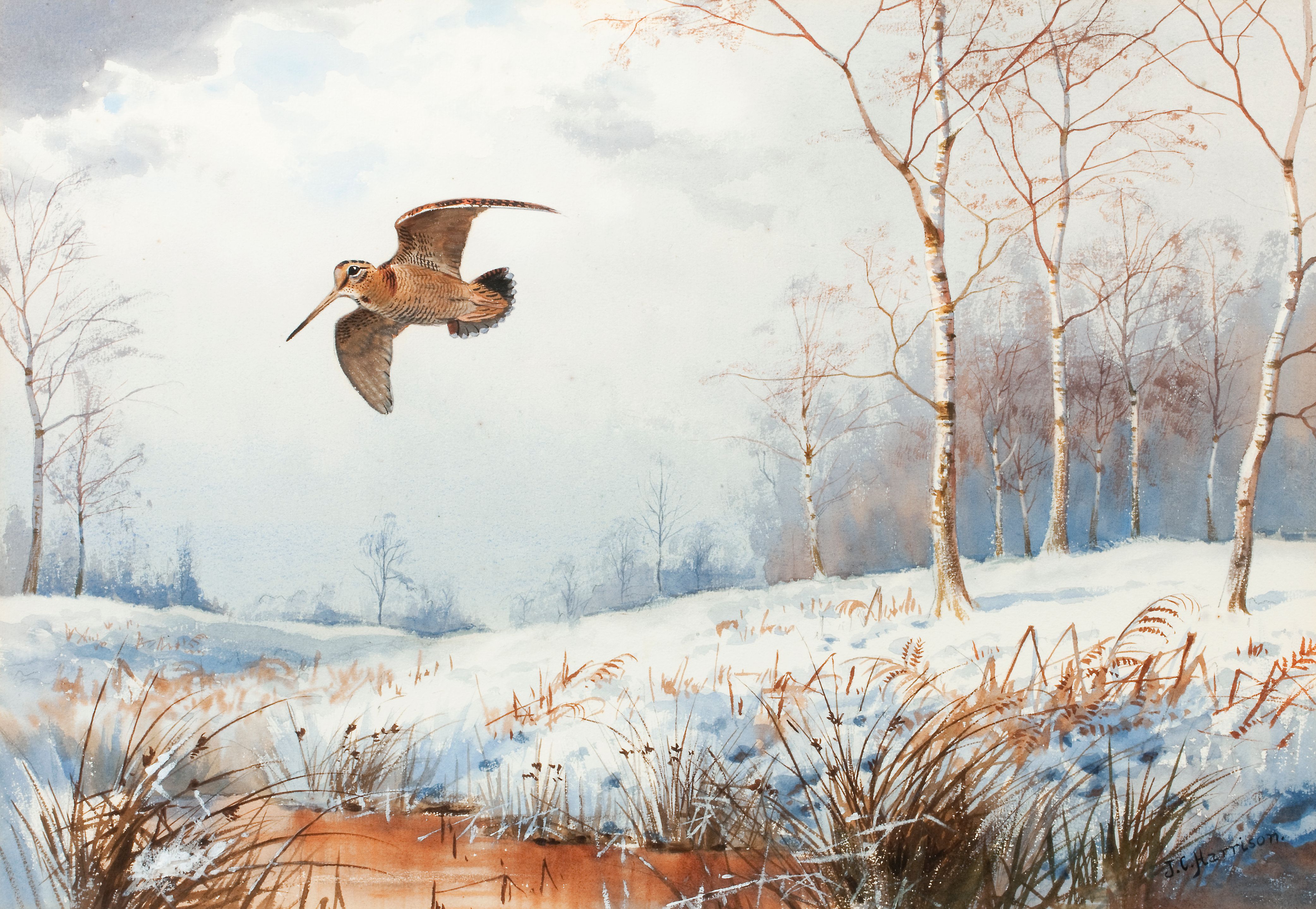 Bonhams : John Cyril Harrison (British, 1898-1985) Woodcock in flight,