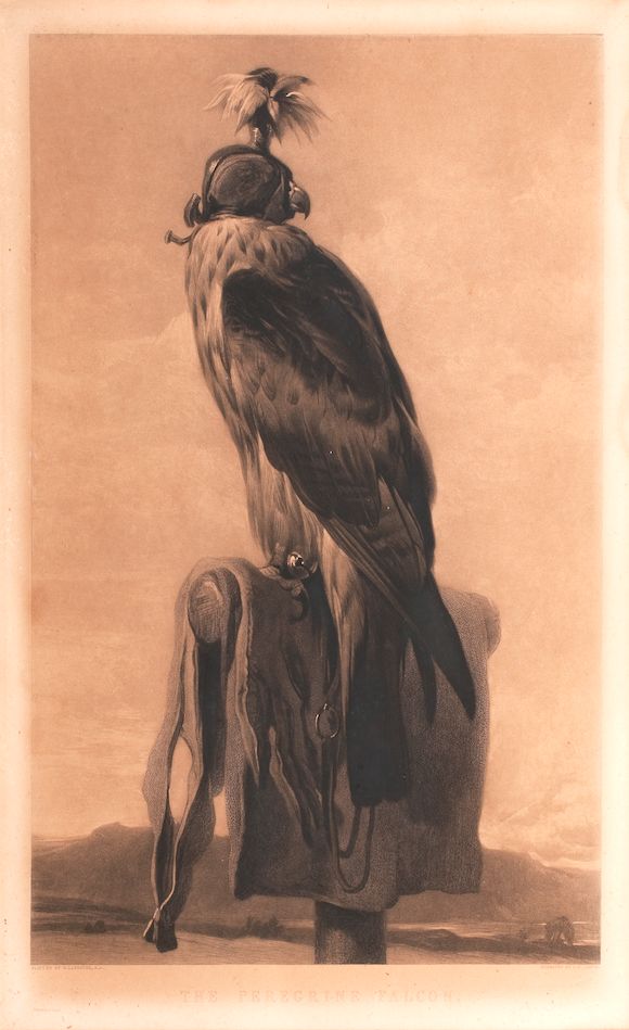 Bonhams : After Sir Edwin Henry Landseer, RA The Hawk and The Peregrine ...