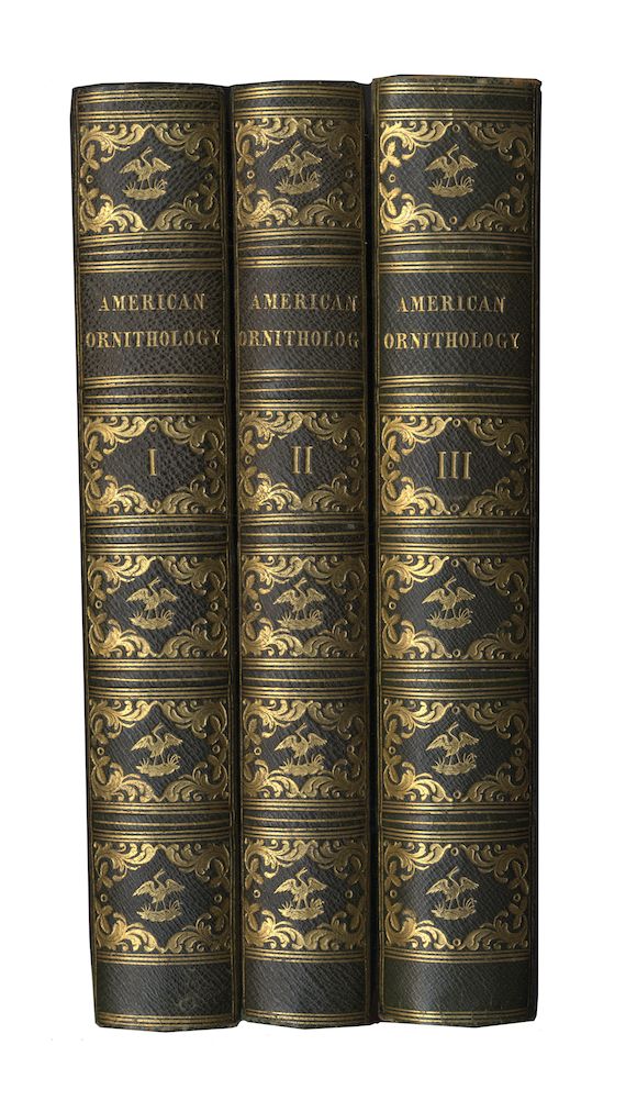 Bonhams : WILSON (ALEXANDER) and CHARLES LUCIEN BONAPARTE American ...