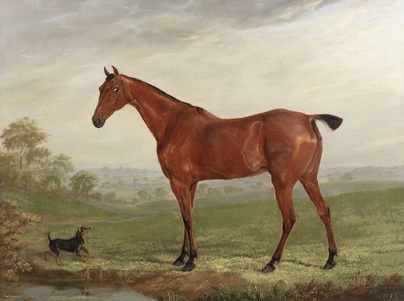 Bonhams : William Webb (British, 1780-1846) A chestnut horse in a ...