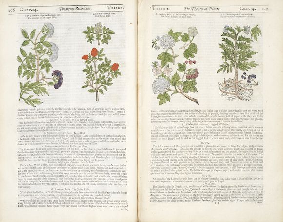 Bonhams : PARKINSON (JOHN) Theatrum botanicum: The Theater of Plants ...