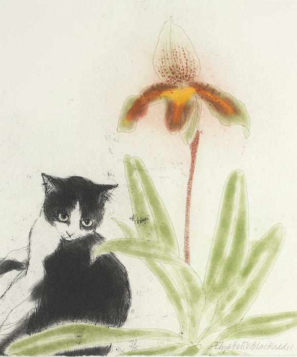 Bonhams : Dame Elizabeth Violet Blackadder (Scottish, born 1931) Orchid ...