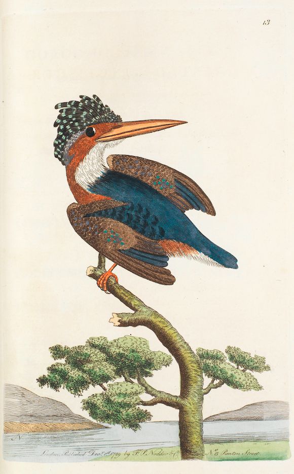 Bonhams : SHAW (GEORGE) and FREDERICK P. NODDER The Naturalist's ...