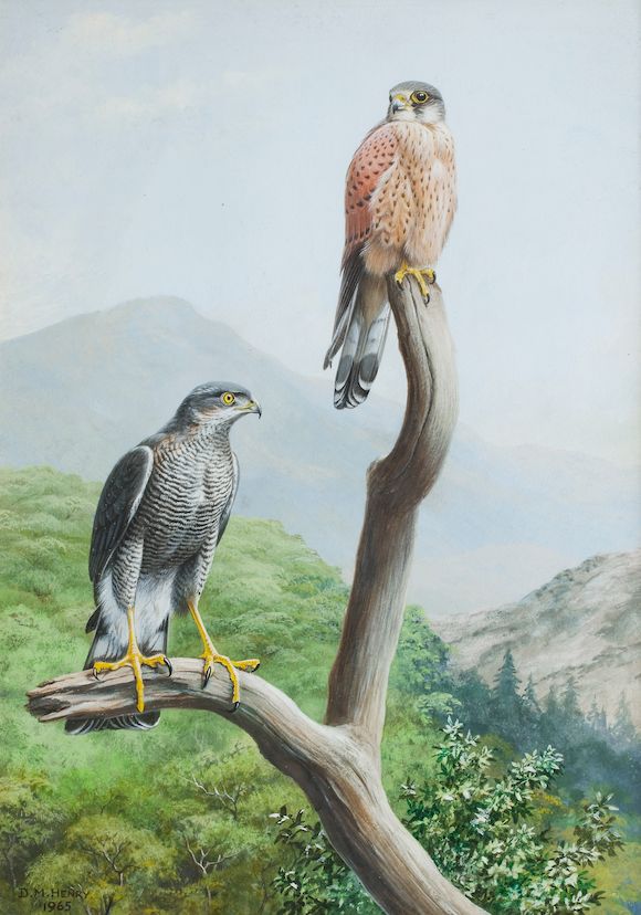 Bonhams : David Morrison Reid Henry (British, 1919-1977) Madeiran ...