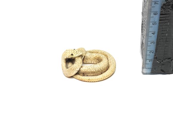 Bonhams : An ivory netsuke of a snake By Masatsugu, 19th century