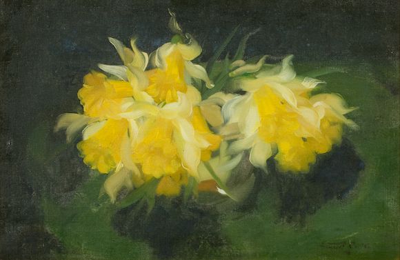 Bonhams : James Stuart Park (British, 1862-1933) Daffodils 28 x 44 cm ...