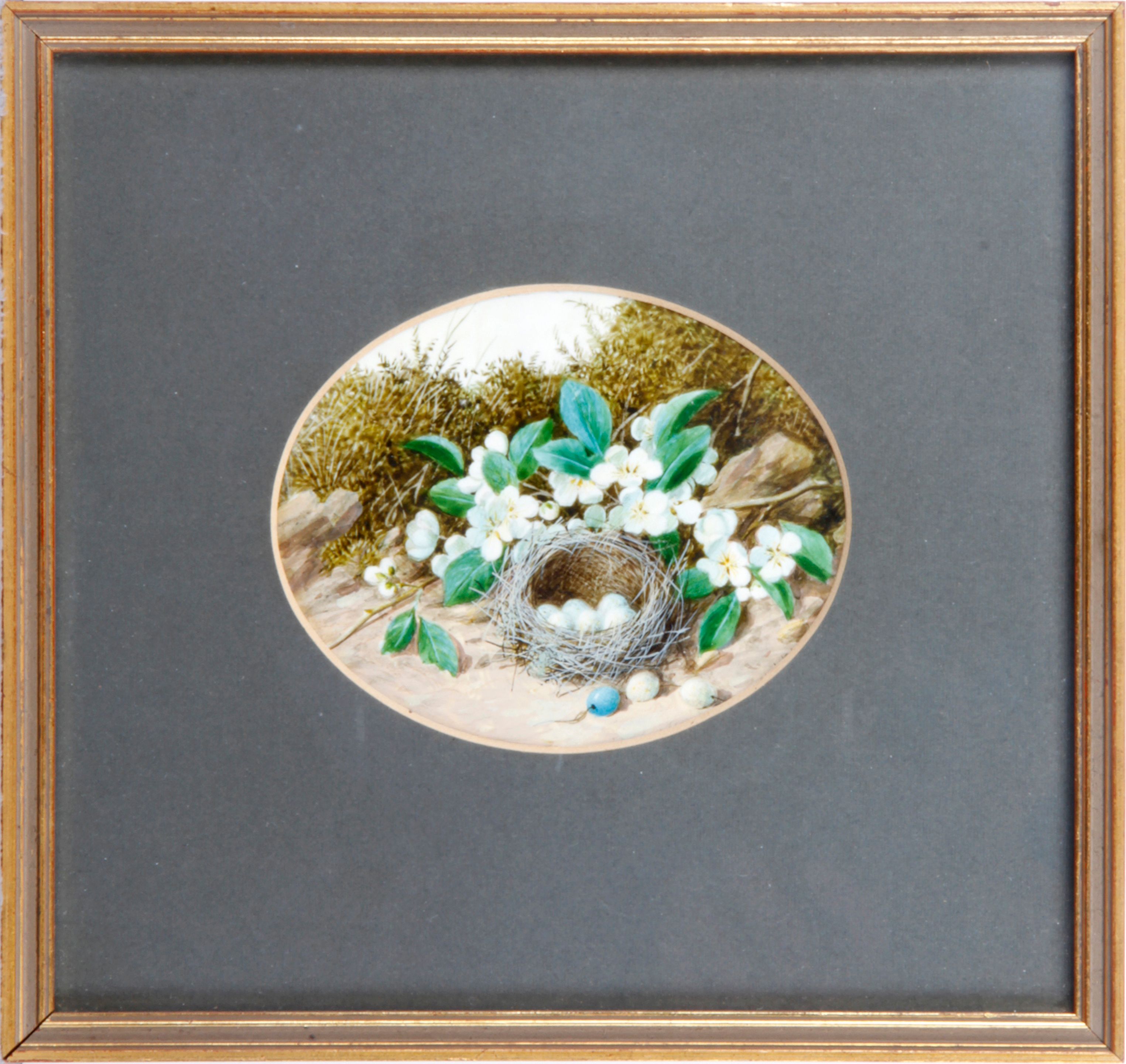 Bonhams : William Cruikshank (1848-1922) Bird's nests, (a pair) (oval)